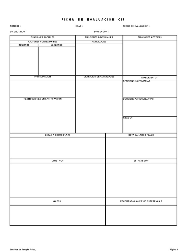 Ficha CIF - Modelo Vacio 1 | PDF