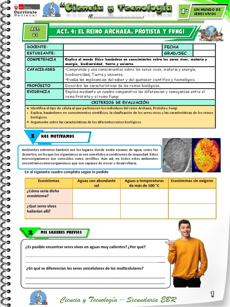 D-1º Act 4 Cyt Unid 1 - Sem 4 | PDF | Algas | Hongo