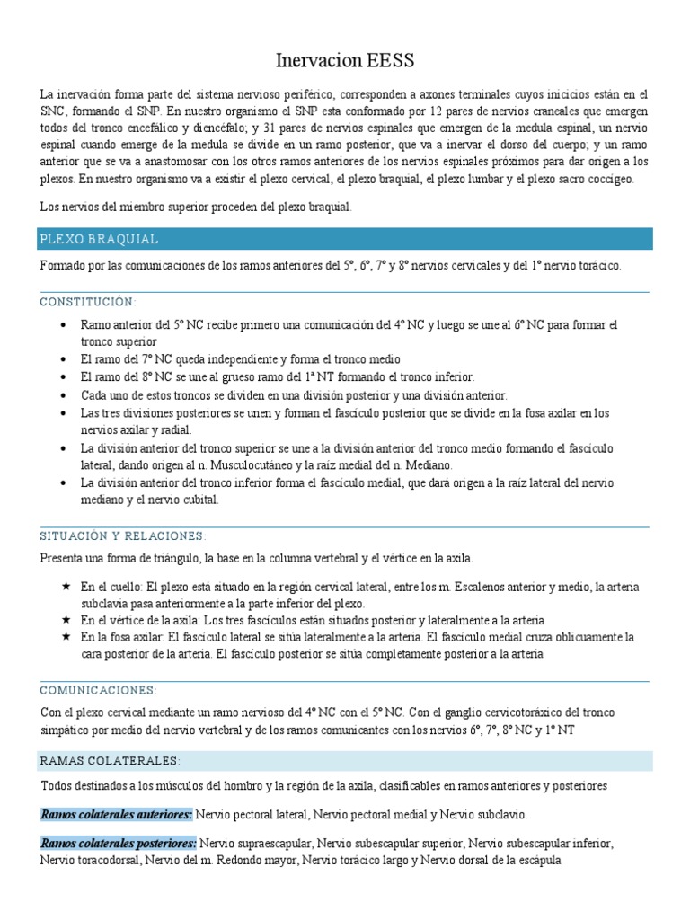 Inervacion EESS | PDF | Extremidades (anatomía) | Anatomía humana