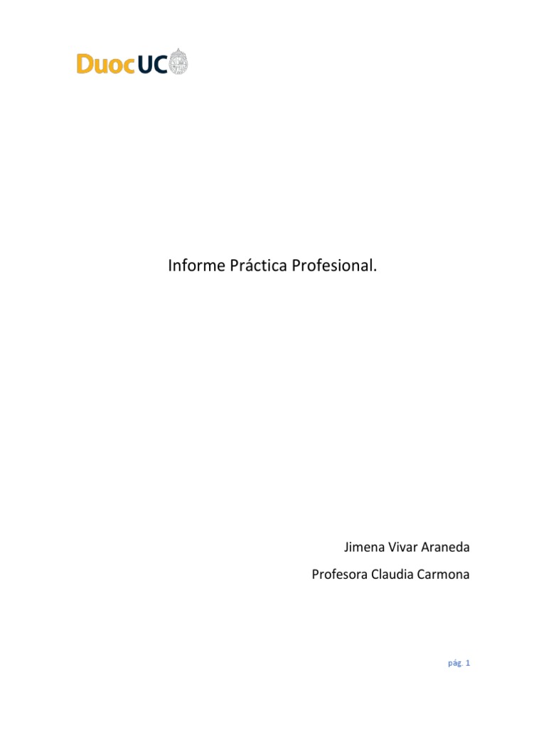 Informe Práctica Profesional Def Pdf Salsa Aprendizaje