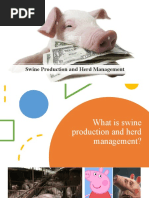 Swine Terminology | PDF | Pig | Livestock
