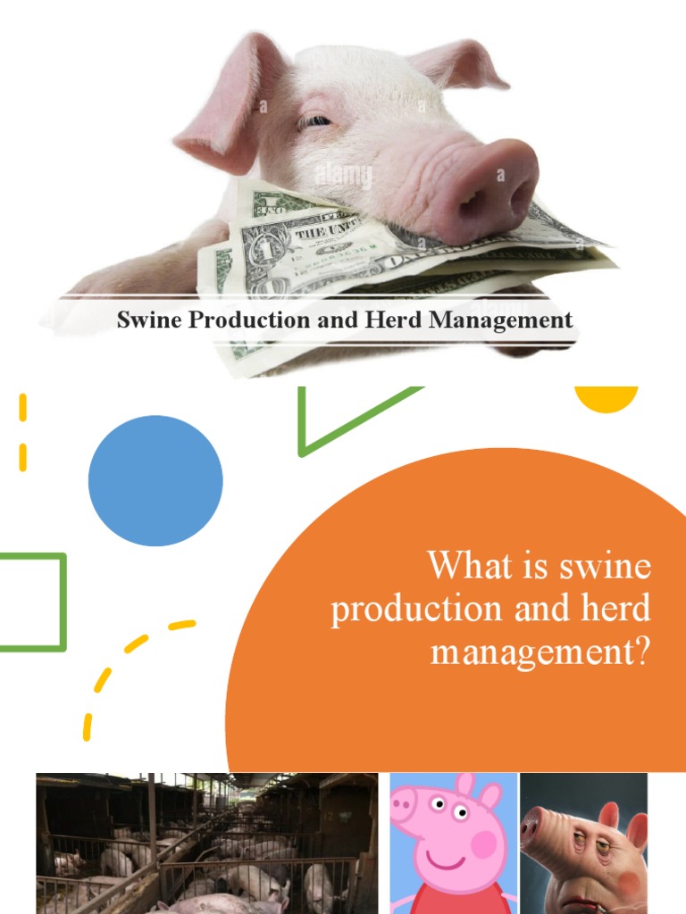 Swine Production and Management Guide | PDF | Pig | Wild Boar