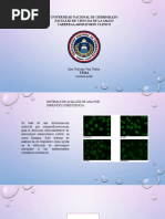 Retortamonas Intestinalis | PDF | Especialidades Medicas | Microbiología