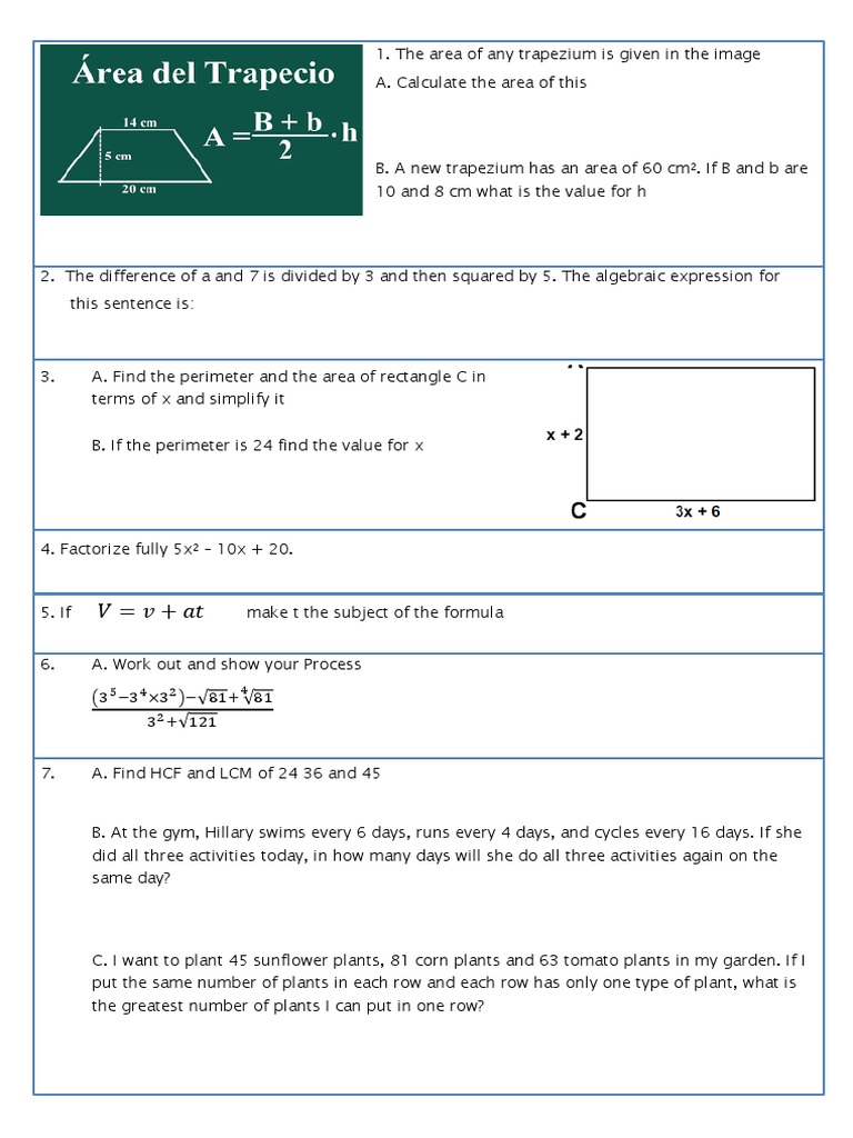 Annual Exam 7 Workshop | PDF | Area | Numbers