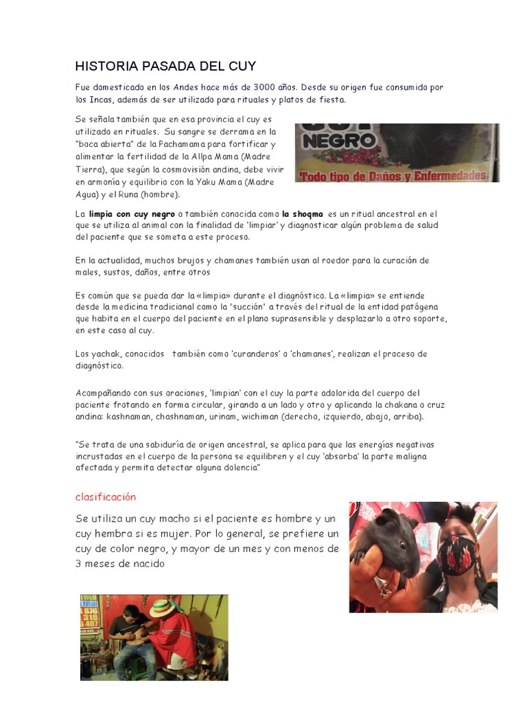 Ritual de Limpieza con Cuy Negro | PDF | Ciencias sociales | Salud y ...