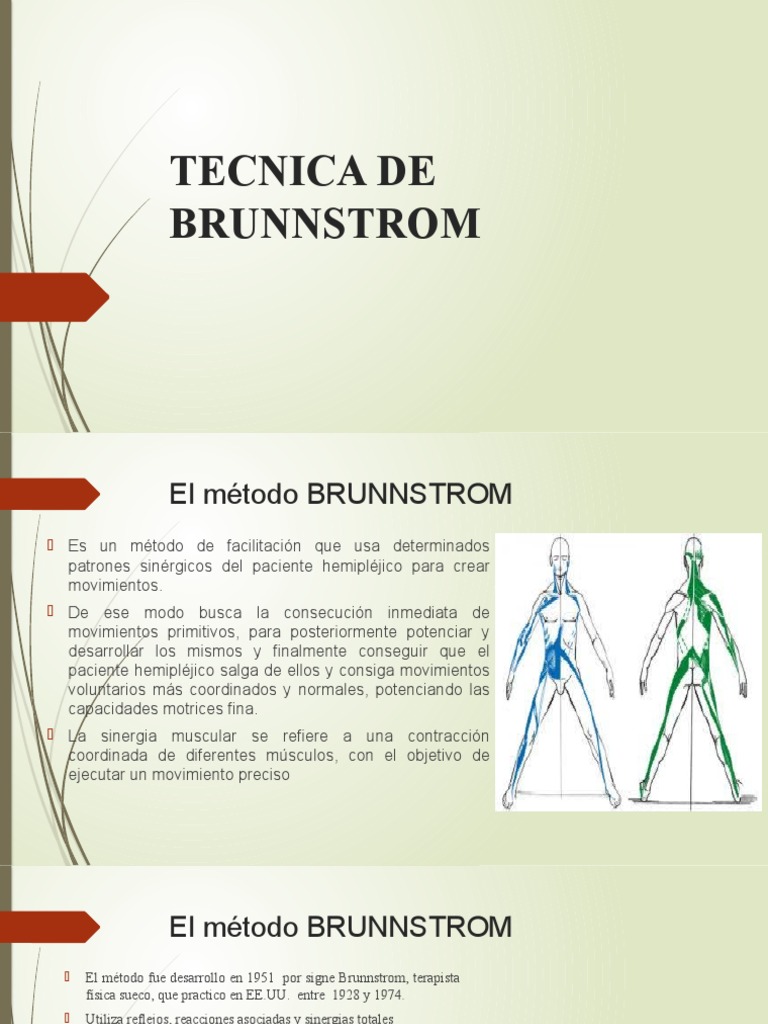 Tecnica de Brunnstrom | PDF | Tobillo | Anatomía humana
