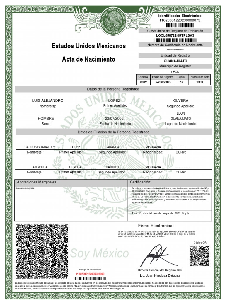 Acta de Nacimientos Luis | PDF | Comunicación escrita | Documentos legales