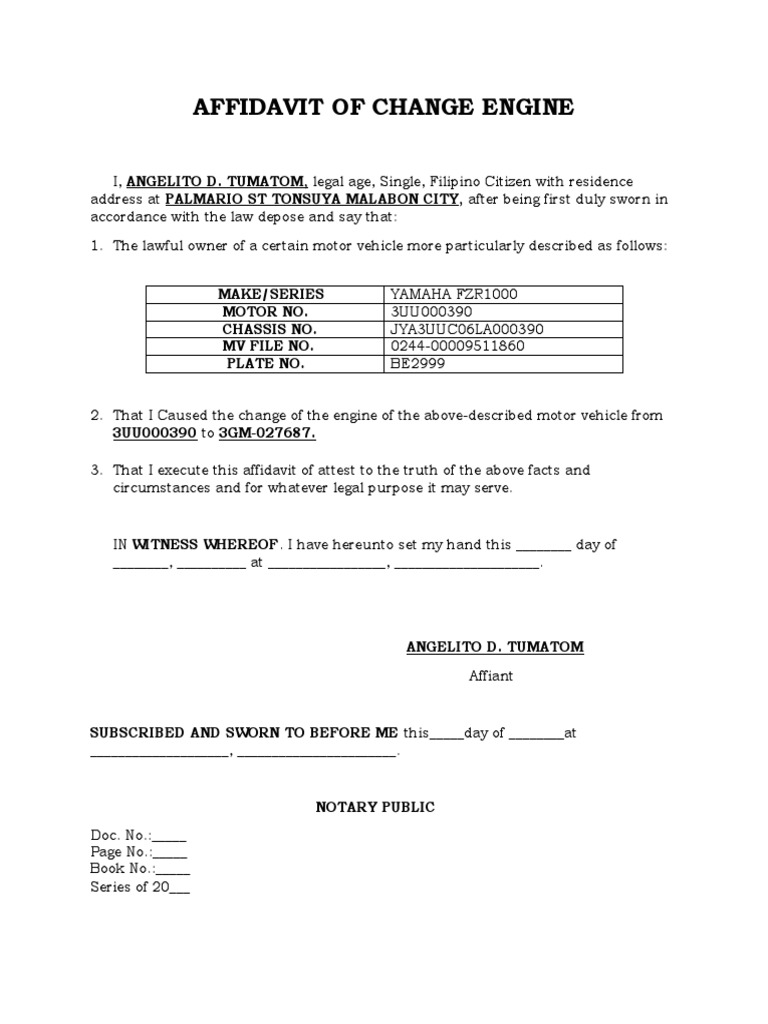 Affidavit of Change Engine | PDF