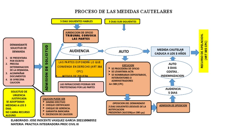 Mapa Conceptual de Las Medidas Cautelares | PDF | Mandato | Ley constitucional
