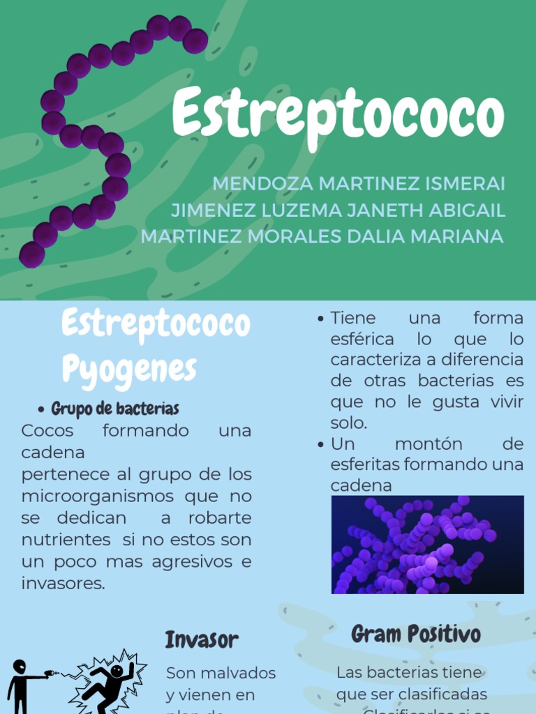 Estreptococo | PDF | Las bacterias | Estreptococo