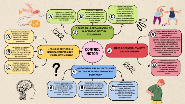 Control Psicomotor | PDF | Cerebro | Músculo