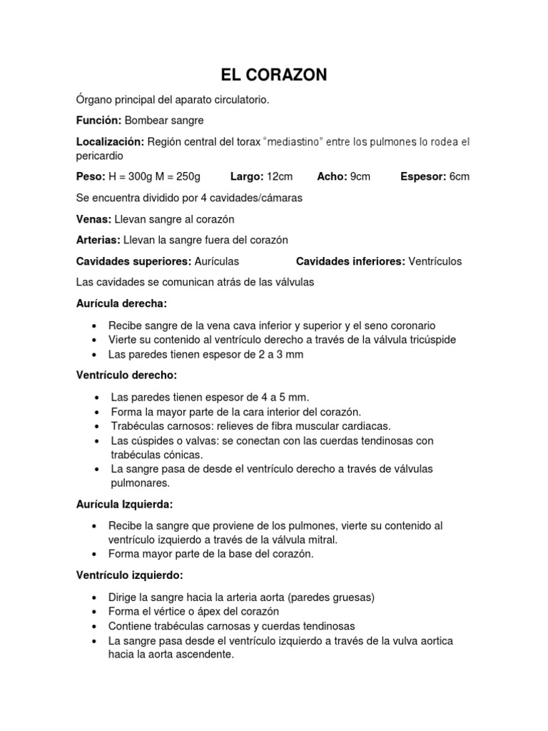 El Corazon | PDF | Ventrículo (corazón) | Corazón