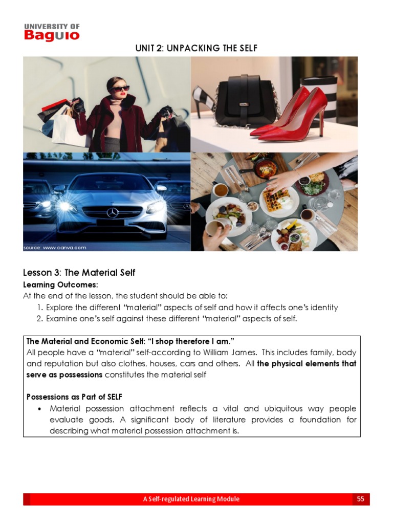 Material Self | PDF | Attachment Theory | Self