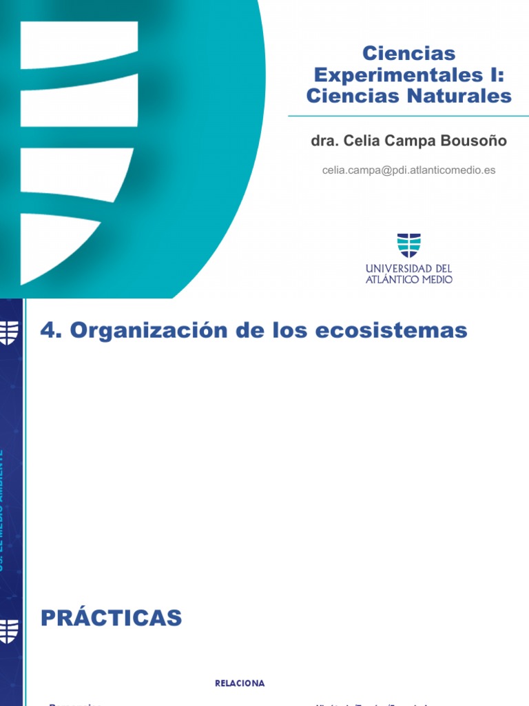 U3. EL MEDIO AMBIENTE RESPUESTAS | PDF | Entorno natural | Ecosistema