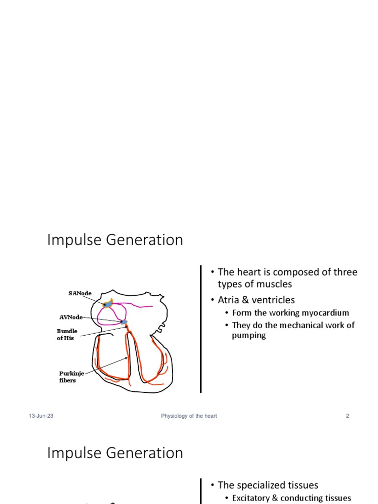 Impulse Generation and Conduction | PDF | Atrium (Heart) | Heart