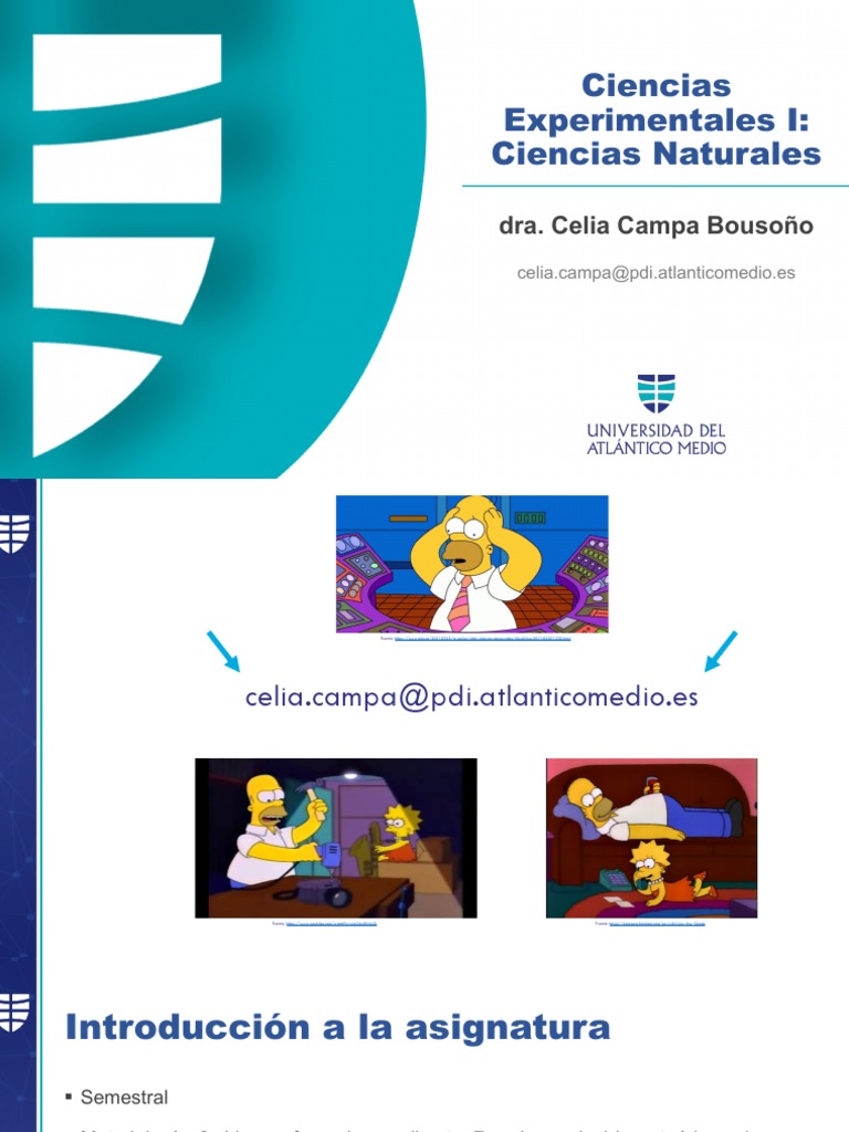 U1. EL PLANETA TIERRA | PDF | Roca (geología) | Placas tectónicas