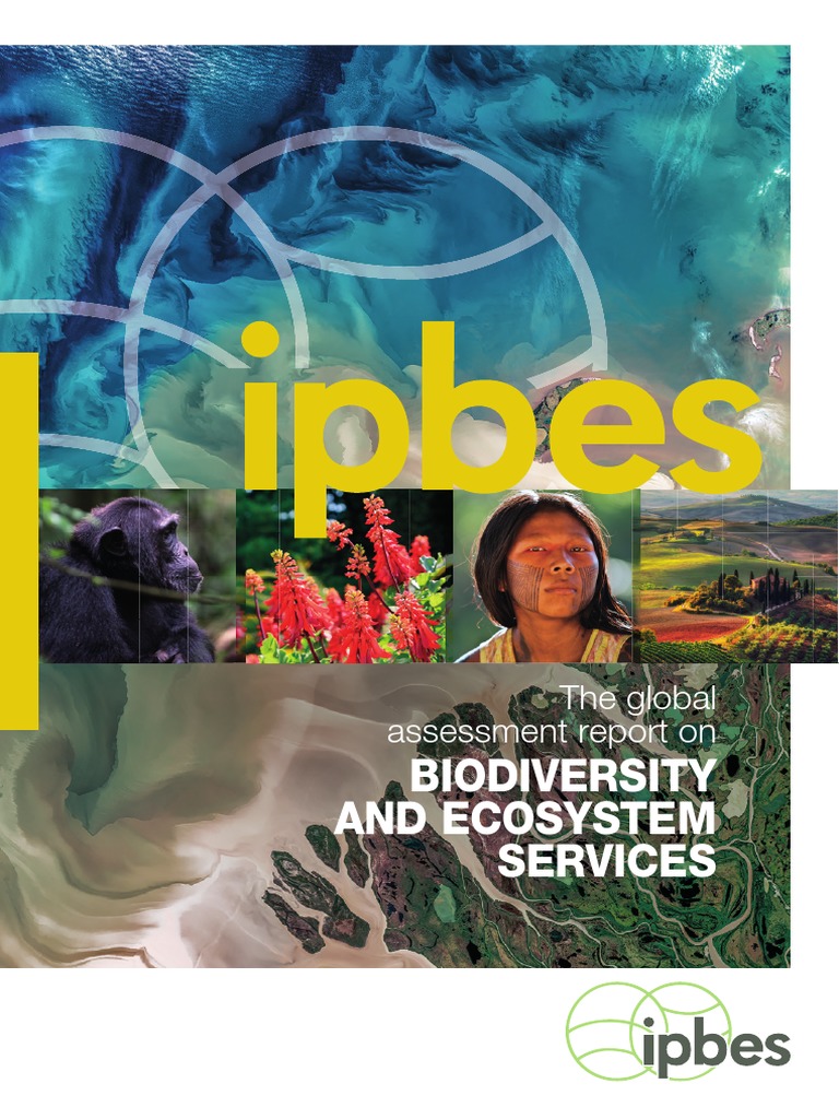 Ipbes Global Report - Full - Digital - March 2022 | PDF | Biodiversity ...