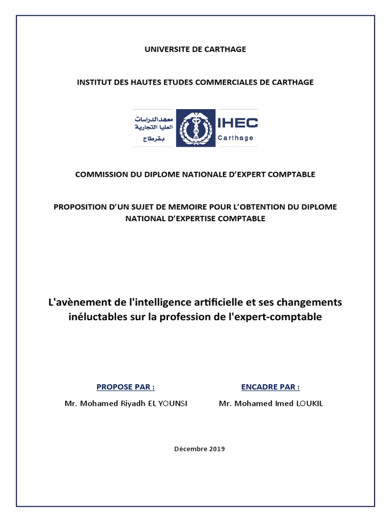 Notice Mémoire Rey | PDF | Audit | Business