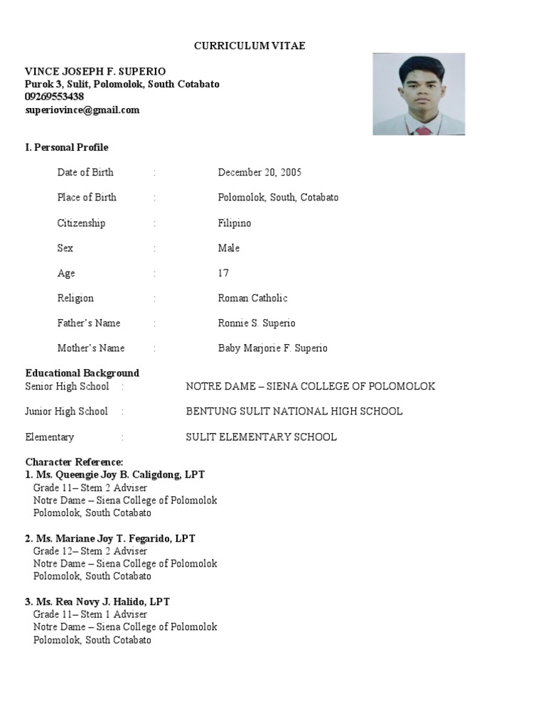 CURRICULUM VITAE Jccha | PDF | Educational Stages | Childhood