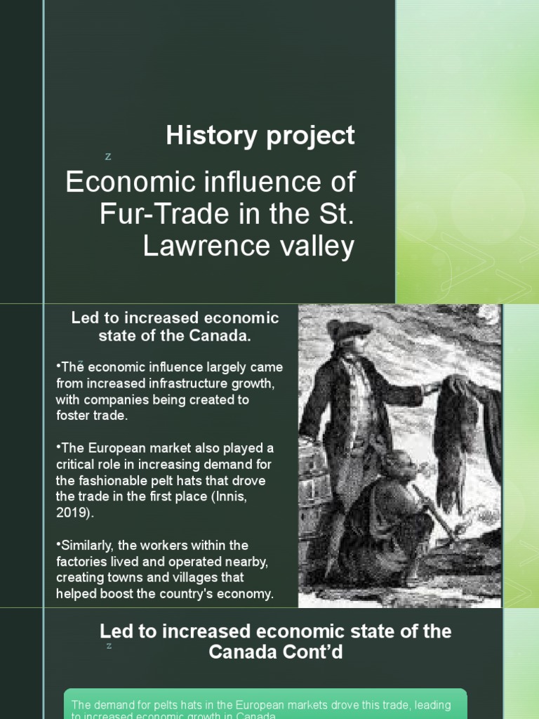 History Project | PDF | Fur Trade | New France
