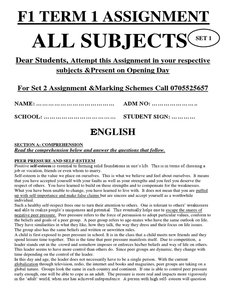 F1 Term 1 Assignment Overview | PDF | Self Esteem | Density
