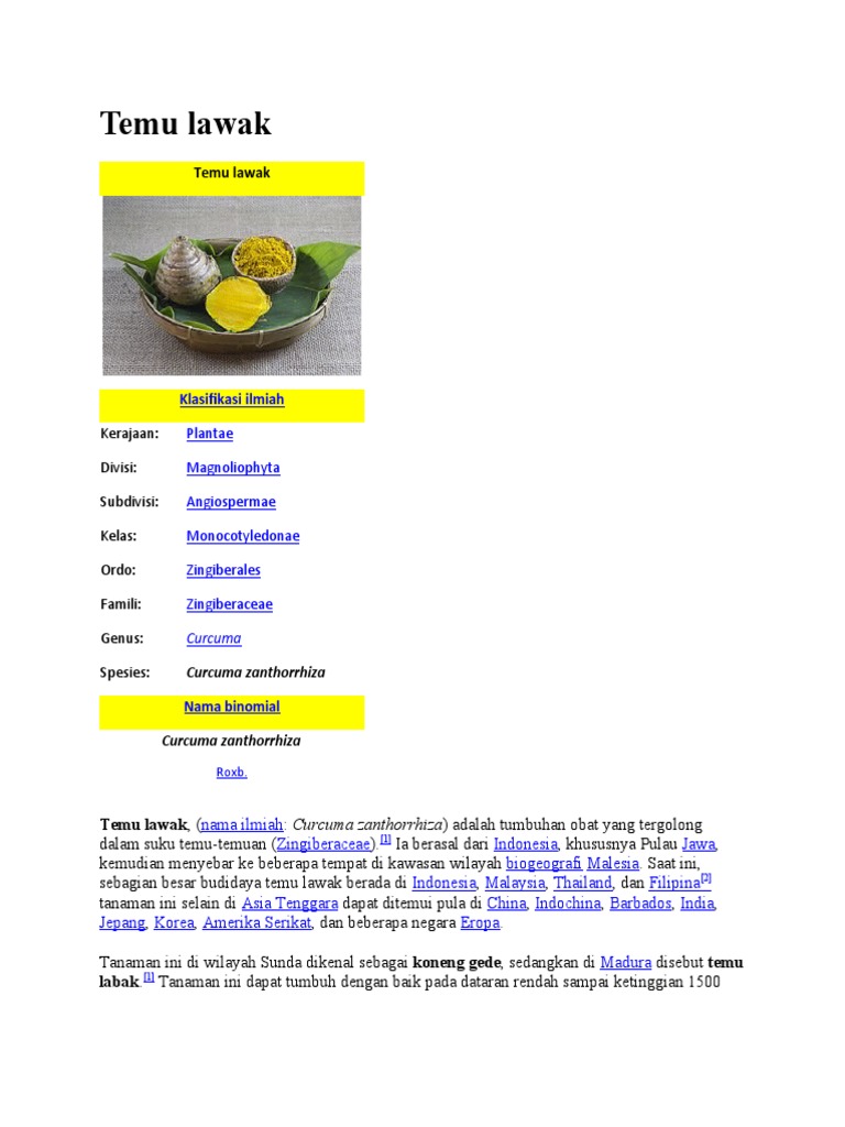 Temulawak | PDF