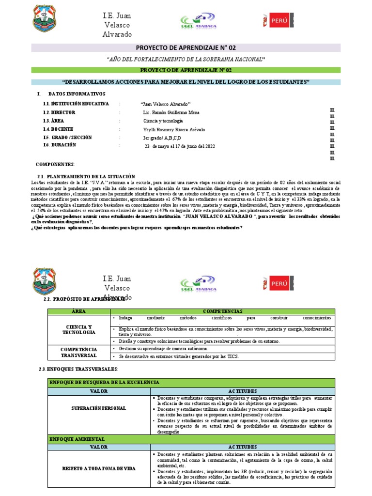 PROYECTO DE APRENDIZAJE Nº2 | PDF | Importar | Sustancias químicas
