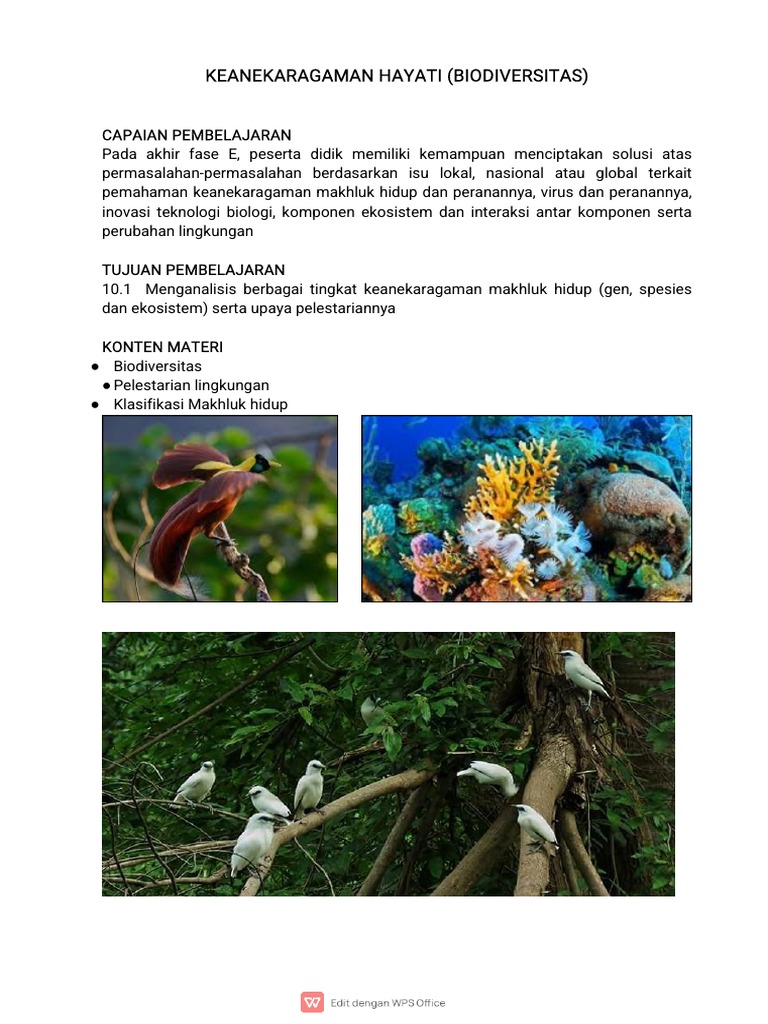 Biodiversitas - 1 | PDF