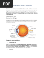Anatomia y Fisiología Del Ojo | PDF | Ojo humano | Percepción visual