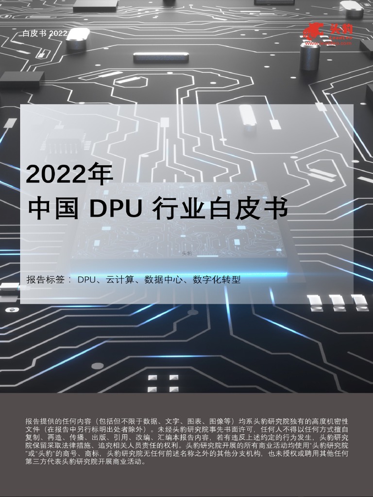 2022年中国DPU行业白皮书 | PDF
