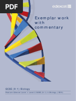 Edexcel GCSE Combined Science Checklist | PDF | Enzyme | Genotype