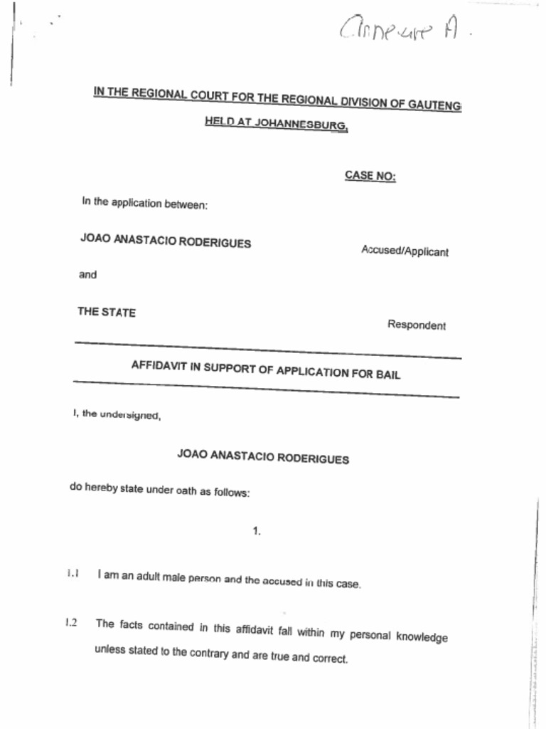 Bail AFFIDAVIT | PDF
