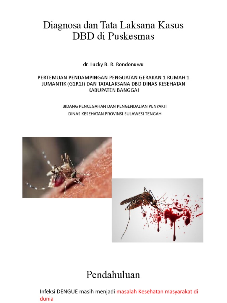 Diagnosa Dan Tatalaksana DBD - Lucky R | PDF | Sains & Matematika