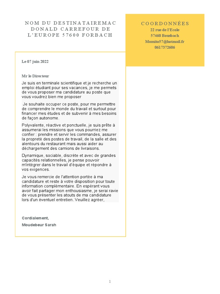 CV Sarah | PDF