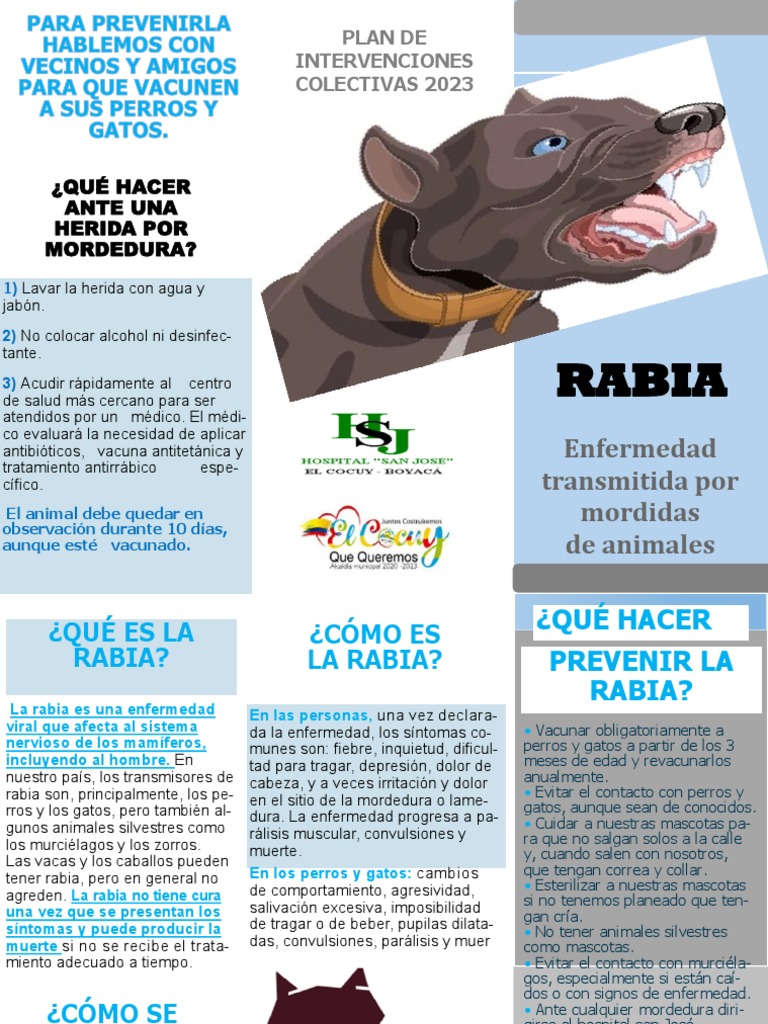 Folleto de Rabia | PDF | Rabia | Medicina CLINICA