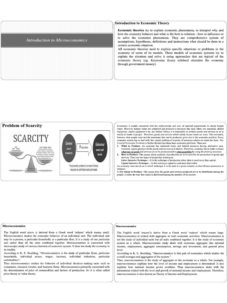 intro-to-micros-pdf