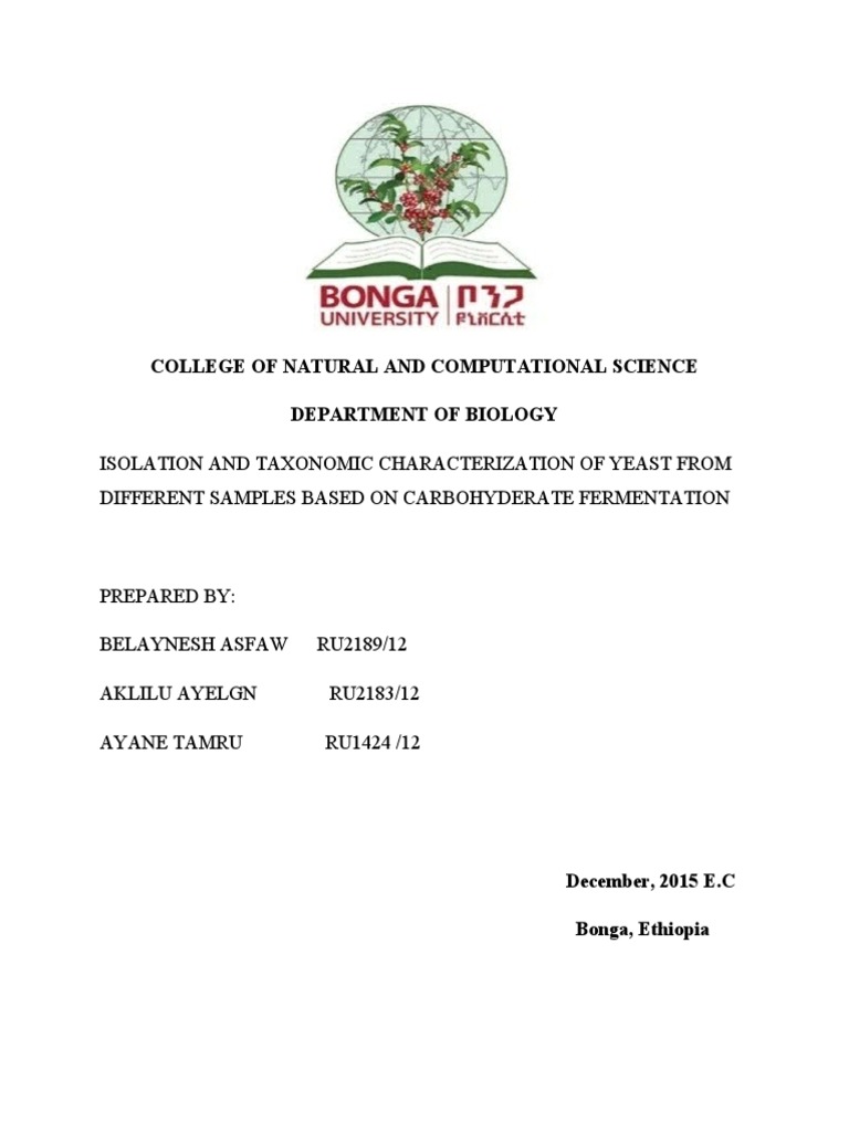 Proposal Bonga Love Love | PDF | Yeast | Cellular Respiration