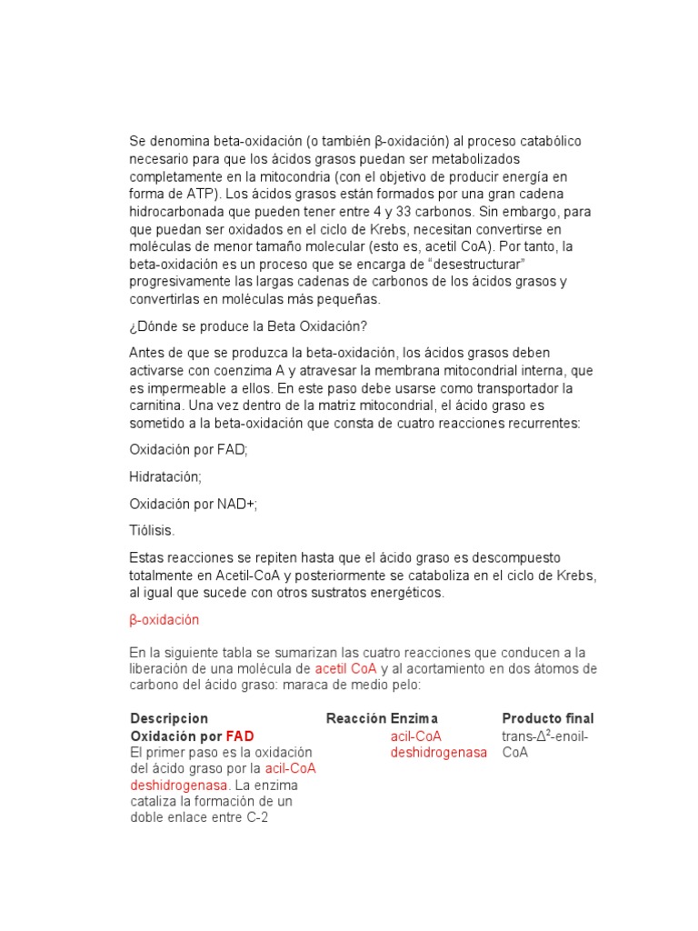 Beta Oxidacion | PDF | Dieta y nutrición | Nutrición Beta Oxidacion | PDF | Dieta y nutrición | Nutrición