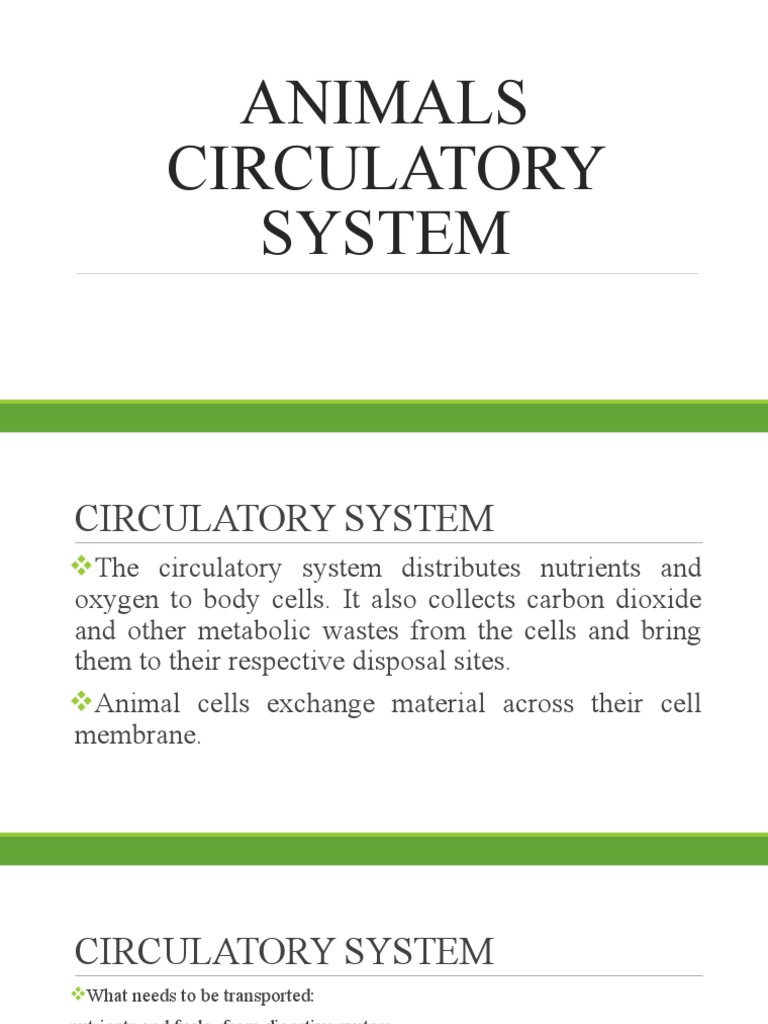 Animals Circulatory System | PDF | Blood | Circulatory System