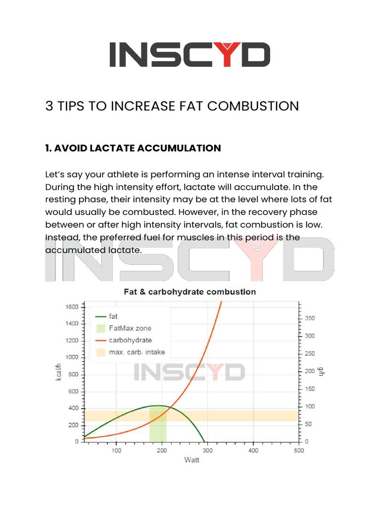 INSCYD-Whitepaper-FatMax-3-tips-for-higher-fat-combustion | PDF ...
