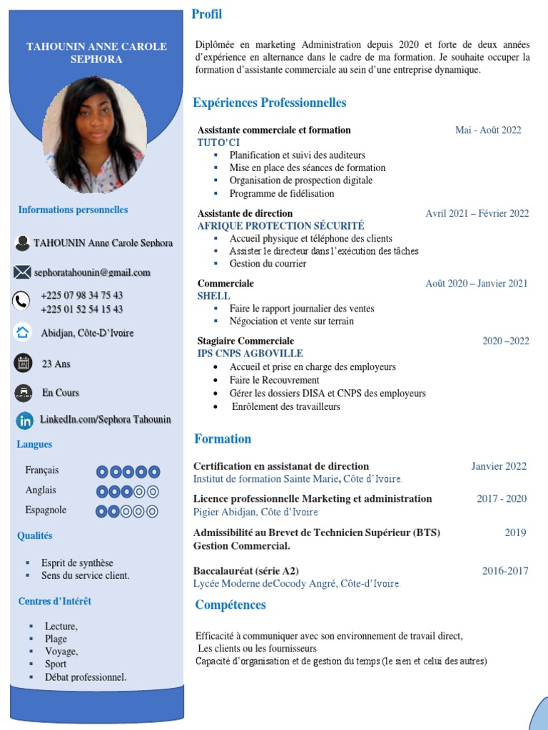 CV Ok | Descargar gratis PDF | Côte d'Ivoire | Business