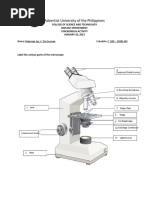 Grade 7 - Science - 2nd Quarter Test | PDF | Reproduction | Cell (Biology)