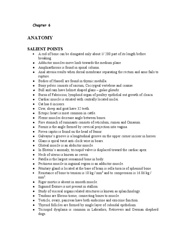 Anatomy: Salient Points | PDF | Heart Valve | Ventricle (Heart)