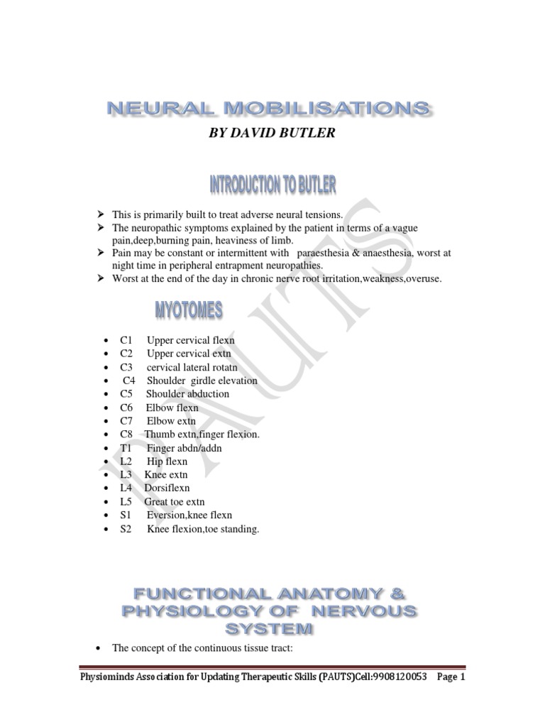 DAVID BUTLER NEURAL TISSUE MOBILISATION-1 | PDF | Anatomical Terms Of ...