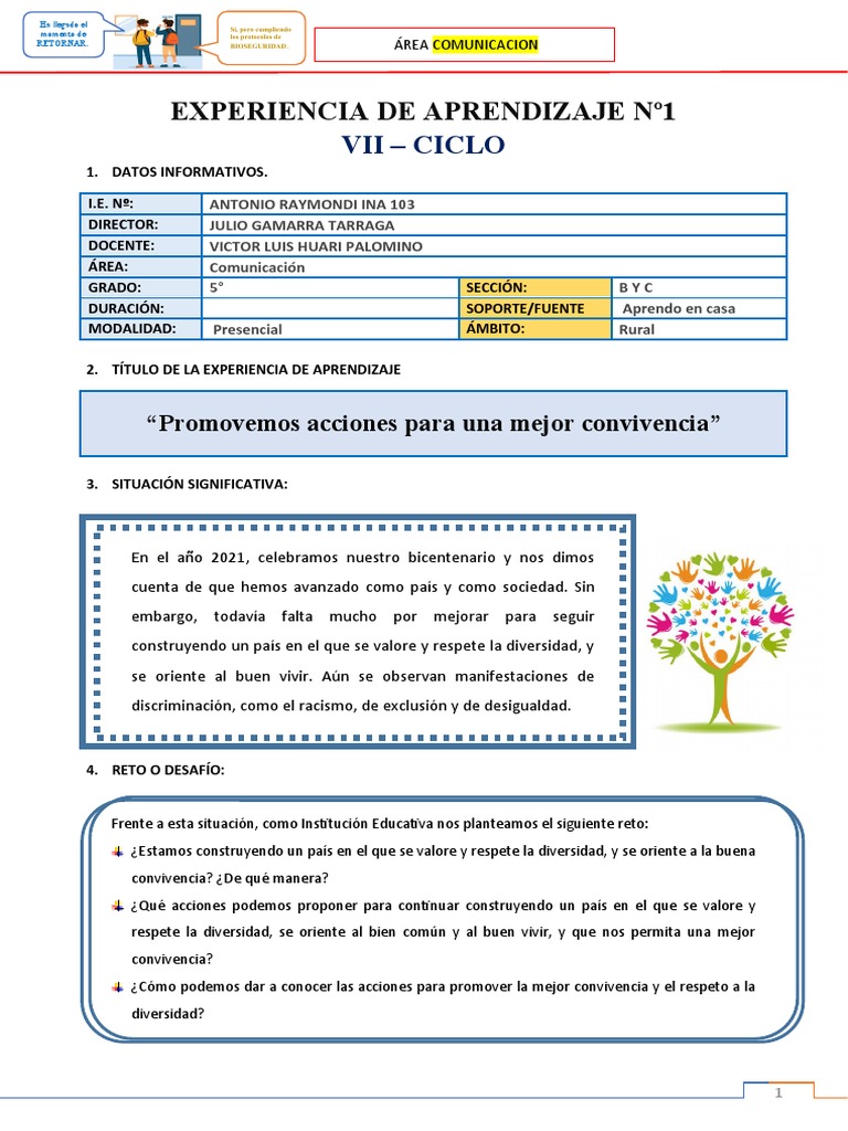 5° Experiencia de Aprendizaje. 1 | PDF | Aprendizaje | Información