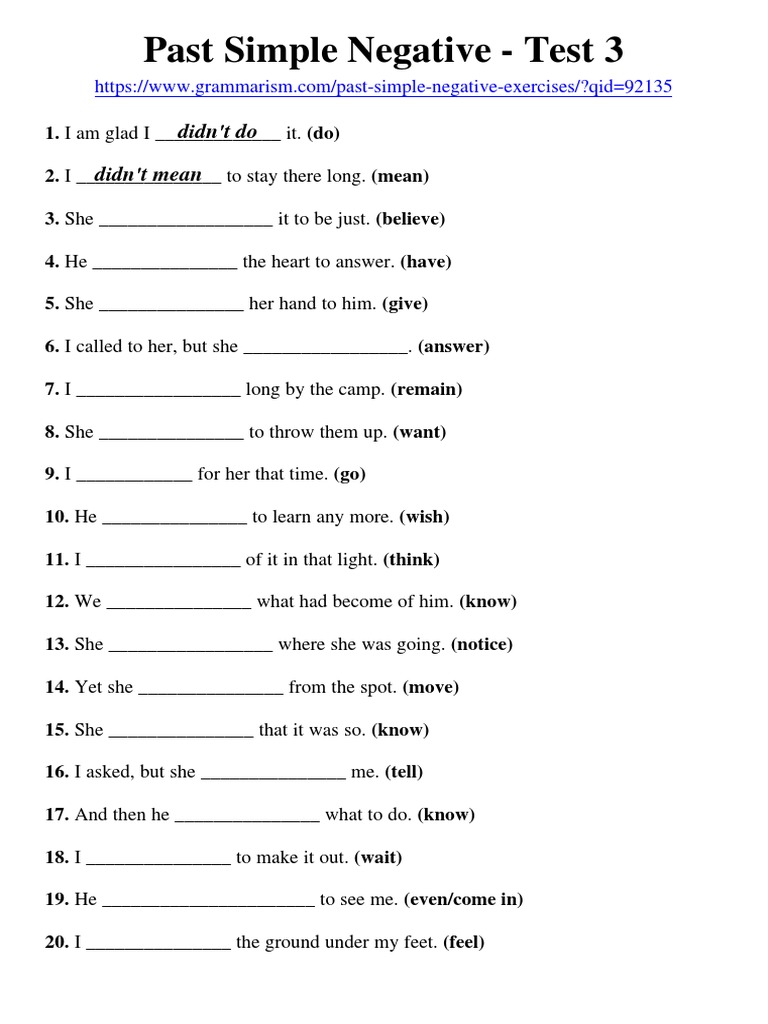 Grammarism Past Simple Negative Test 3 1173899 | PDF