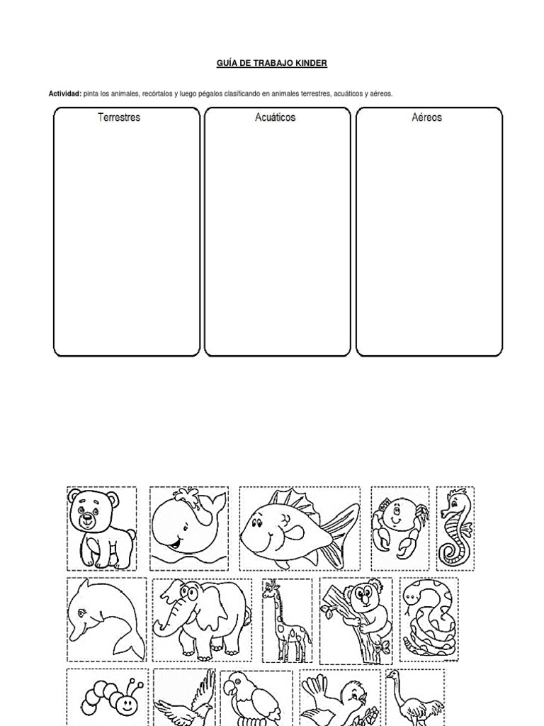 Clasificacion de Animales | PDF | Ciencia y matemáticas
