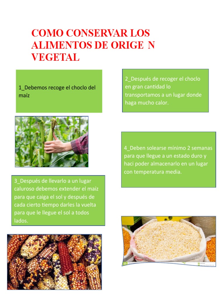 Como Conservar Los Alimentos de Origen Vegetal | PDF