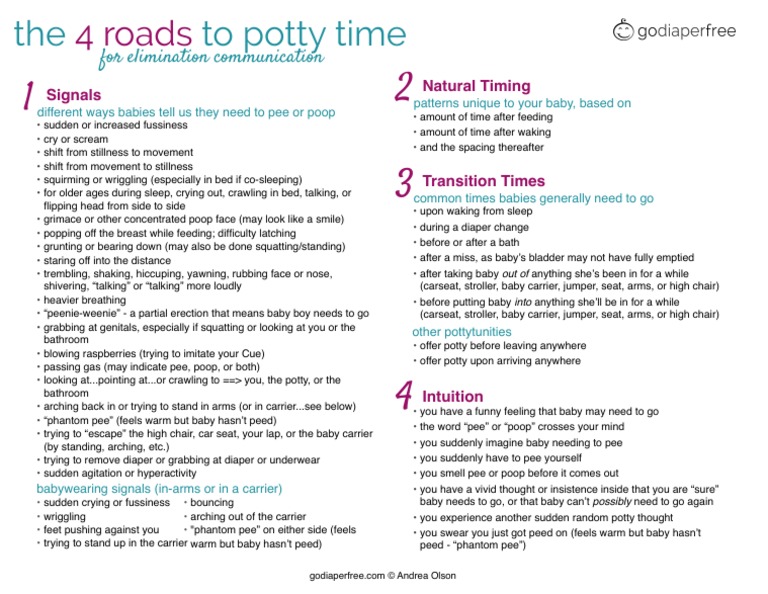 The 4 Roads To Potty Time - Go Diaper Free | PDF