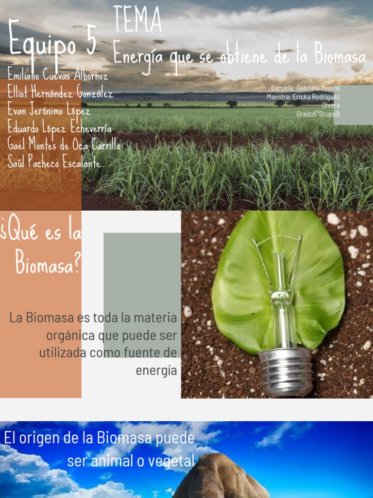 Energía que se obtiene de la Biomasa | PDF | Biomasa | Metano